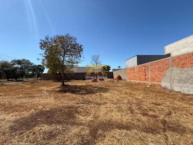 Terreno / Lote para Venda em Palmas/TO Plano Diretor Sul