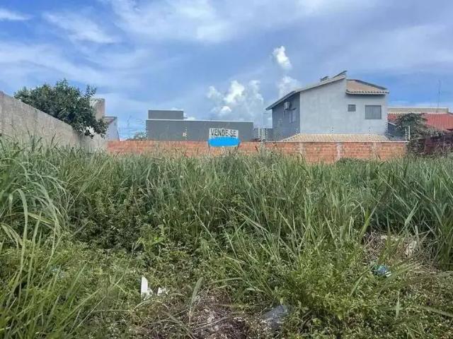 Terreno / Lote para Venda em Palmas/TO Plano Diretor Sul 1 Quartos