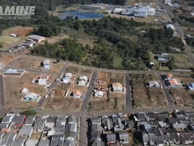 Terreno / Lote para Venda em Palmas/PR Caldeiras
