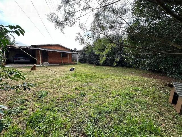 Terreno / Lote para Venda em Palmas/PR Serrinha