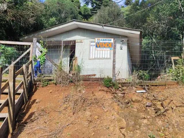 Terreno / Lote para Venda em Palmas/PR Serrinha