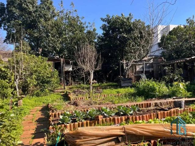 Terreno / Lote para Venda em Palmeira das Missões/RS Centro