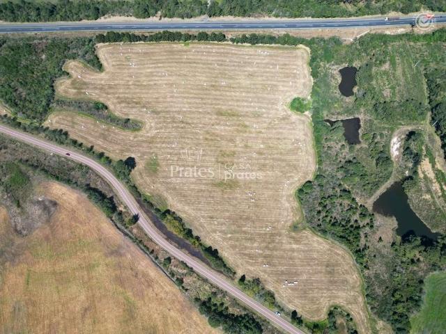 Terreno / Lote para Venda em Palmeira/PR Colonia Witmarsum