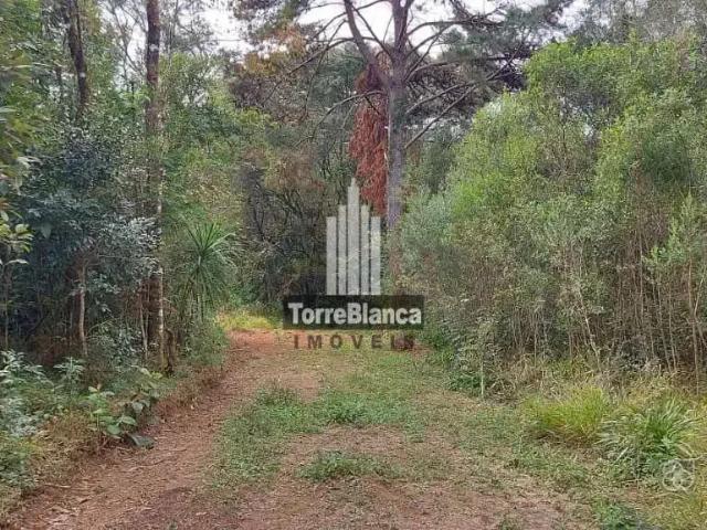 Terreno / Lote para Venda em Palmeira/PR Colônia