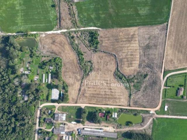 Terreno / Lote para Venda em Palmeira/PR Colonia Witmarsum