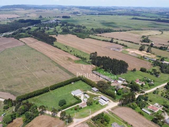 Terreno / Lote para Venda em Palmeira/PR Colonia Witmarsum