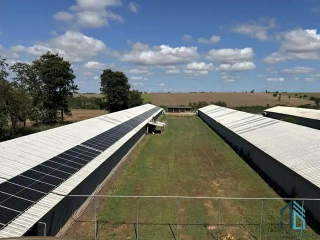 Terreno / Lote para Venda em Palotina/PR Centro