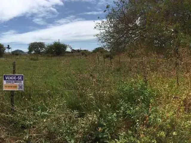 Terreno / Lote para Venda em Paracuru/CE Maleitas