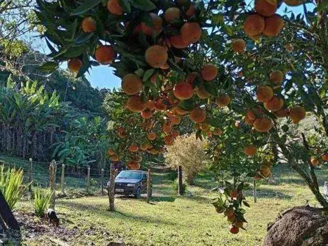 Terreno / Lote para Venda em Paraibuna/SP Bairro do Cedro