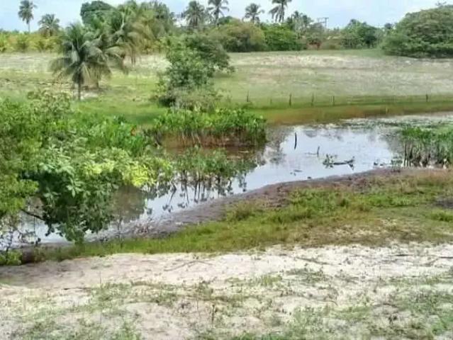Terreno / Lote para Venda em Paraipaba/CE Boa Vista