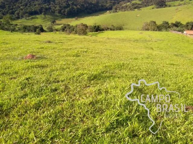 Terreno / Lote para Venda em Paraisópolis/MG Zona Rural