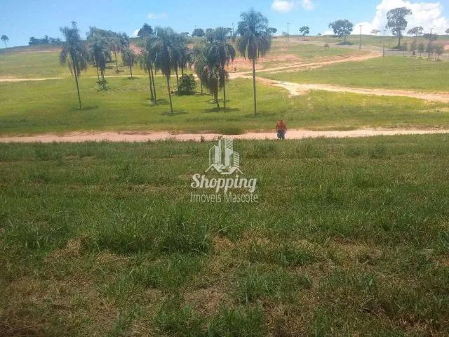 Terreno / Lote para Venda em Paranapanema/SP Centro