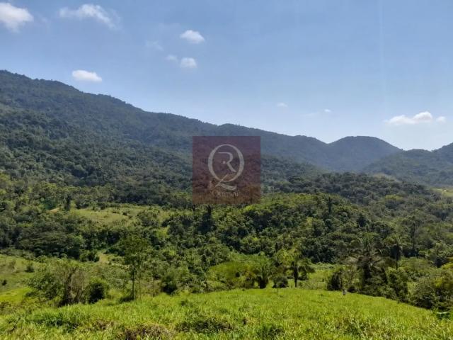 Terreno / Lote para Venda em Paraty/RJ Zona Rural