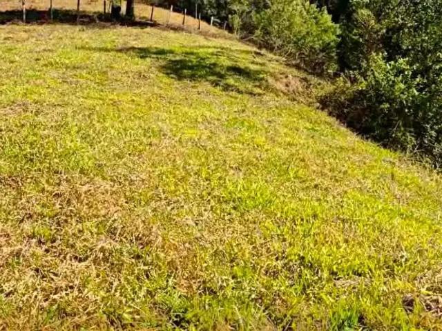 Terreno / Lote para Venda em Delfim Moreira/MG Zona Rural