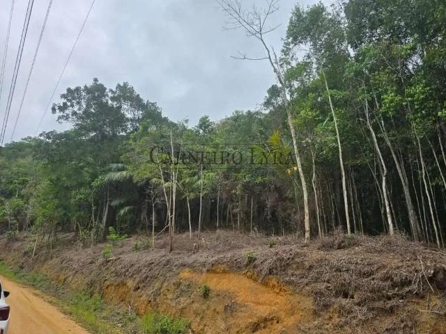 Terreno / Lote para Venda em Paraty/RJ Pedras Azuis
