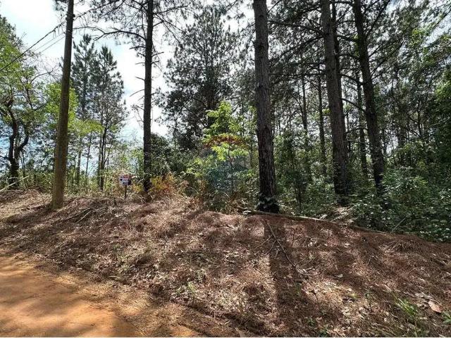 Terreno / Lote para Venda em Pardinho/SP Centro