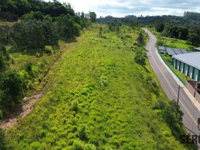 Terreno / Lote para Venda em Pareci Novo/RS Matiel