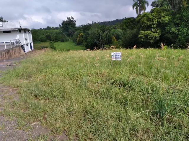 Terreno / Lote para Venda em Pareci Novo/RS Matiel