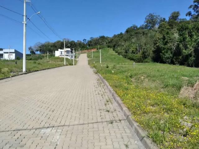Terreno / Lote para Venda em Pareci Novo/RS Centro