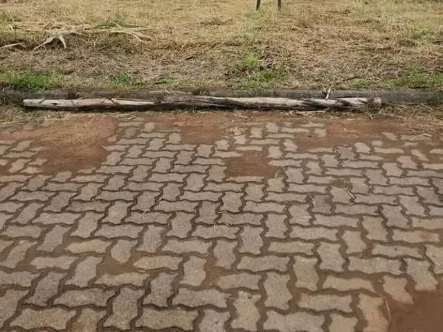Terreno / Lote para Venda em Pareci Novo/RS Várzea Pareci