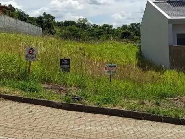 Terreno / Lote para Venda em Pareci Novo/RS Várzea Pareci