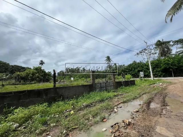 Terreno / Lote para Venda em Paripueira/AL Centro