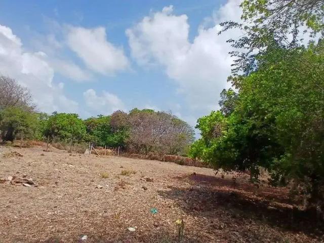 Terreno / Lote para Venda em Parnamirim/RN Cotovelo Distrito Litoral