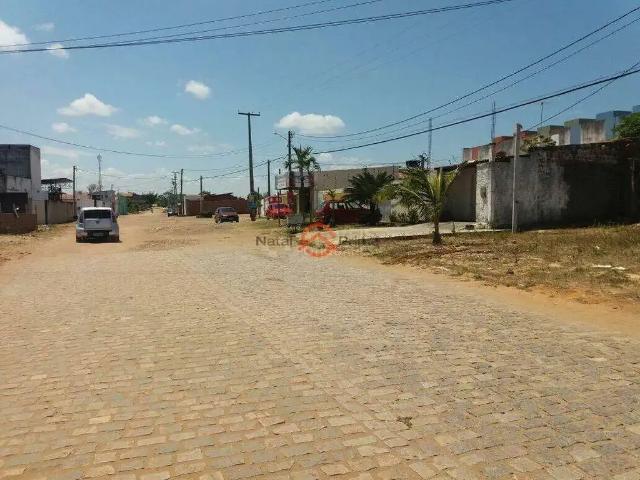 Terreno / Lote para Venda em Parnamirim/RN Parque das Árvores