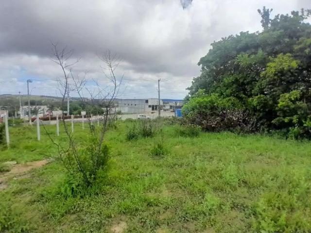 Terreno / Lote para Venda em Parnamirim/RN Pium Distrito Litoral