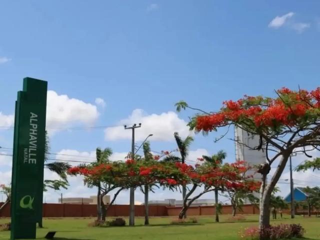 Terreno / Lote para Venda em Parnamirim/RN Pium Distrito Litoral