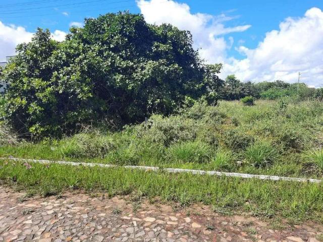 Terreno / Lote para Venda em Parnaíba/PI João XXIII