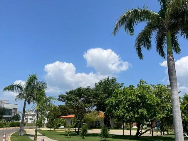 Terreno / Lote para Venda em Parnaíba/PI João XXIII