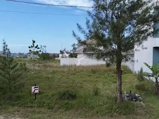 Terreno / Lote para Venda em Passo de Torres/SC Bela Torres