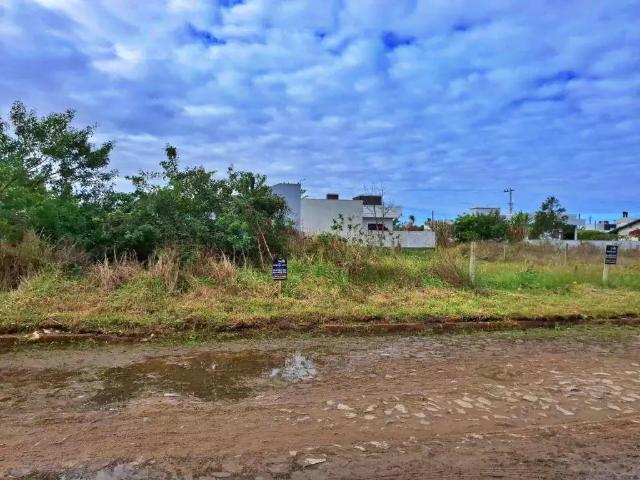 Terreno / Lote para Venda em Passo de Torres/SC Bela Torres
