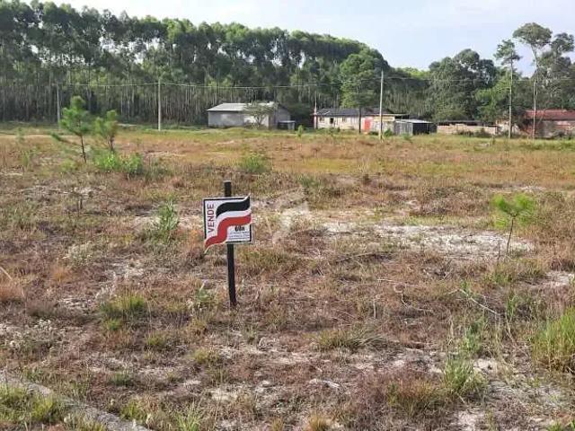 Terreno / Lote para Venda em Passo de Torres/SC Bela Torres