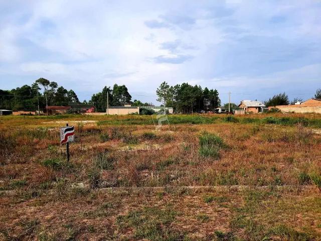 Terreno / Lote para Venda em Passo de Torres/SC Bela Torres
