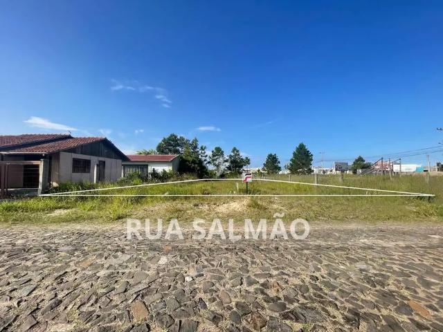 Terreno / Lote para Venda em Passo de Torres/SC Bela Torres