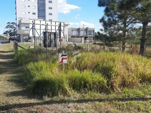 Terreno / Lote para Venda em Passo de Torres/SC Bela Torres
