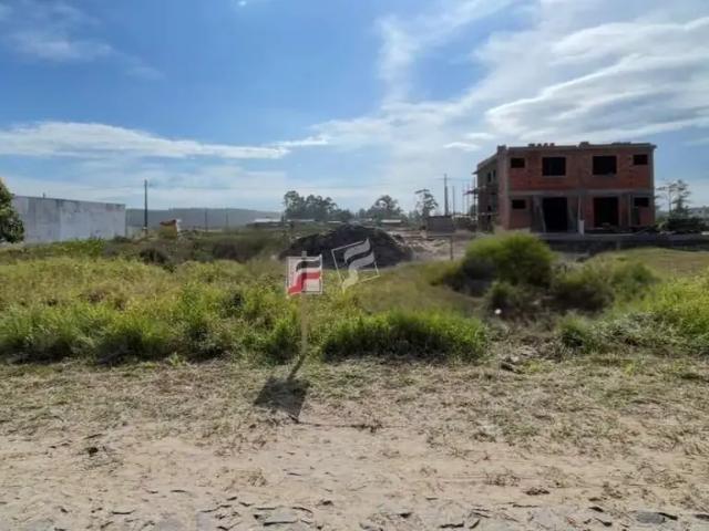 Terreno / Lote para Venda em Passo de Torres/SC Guaporema