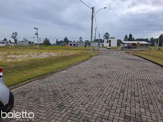 Terreno / Lote para Venda em Passo de Torres/SC Jardim América
