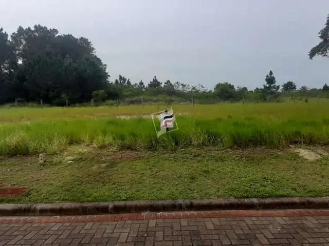 Terreno / Lote para Venda em Passo de Torres/SC Loteamento Jardim America
