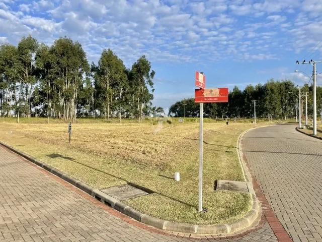 Terreno / Lote para Venda em Passo de Torres/SC Praia Caravelle