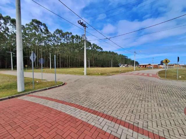 Terreno / Lote para Venda em Passo de Torres/SC Jardim América