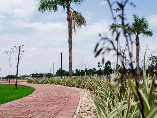 Terreno / Lote para Venda em Passo de Torres/SC Praia Caravelle