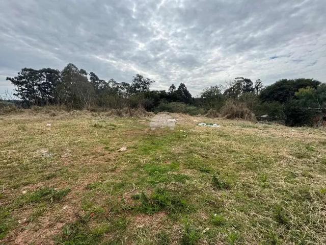 Terreno / Lote para Venda em Passo Fundo/RS Professor Schisler