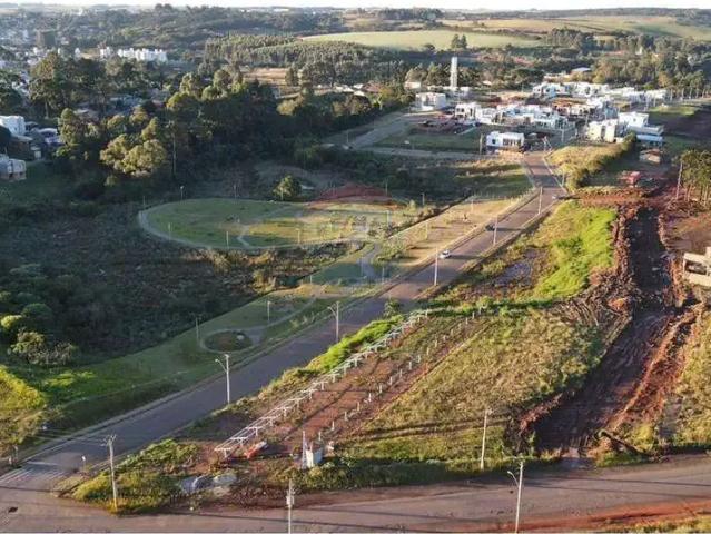 Terreno / Lote para Venda em Passo Fundo/RS São Luiz Gonzaga