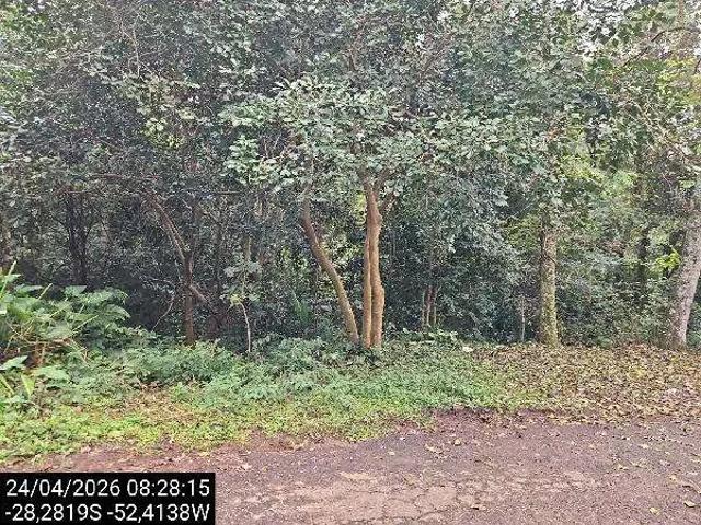 Terreno / Lote para Venda em Passo Fundo/RS Vila Luiza