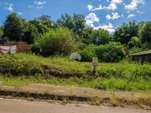 Terreno / Lote para Venda em Passo Fundo/RS Vila Santa Marta