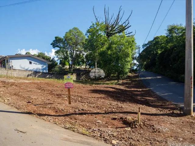 Terreno / Lote para Venda em Passo Fundo/RS Vila Petrópolis