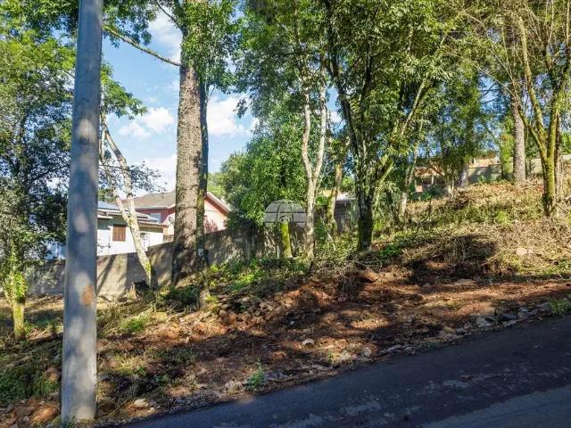 Terreno / Lote para Venda em Passo Fundo/RS Vila Petrópolis